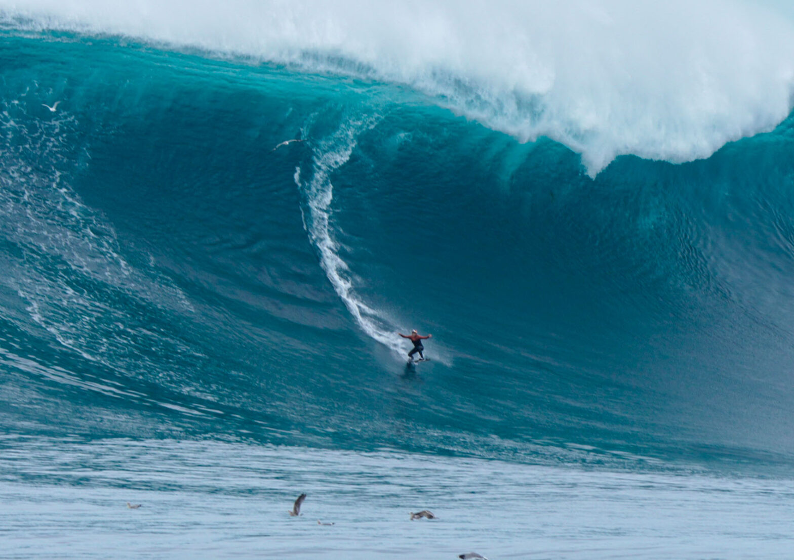 Justine Dupont - Surfeuse de grosses vagues - Conferenciere Sportif